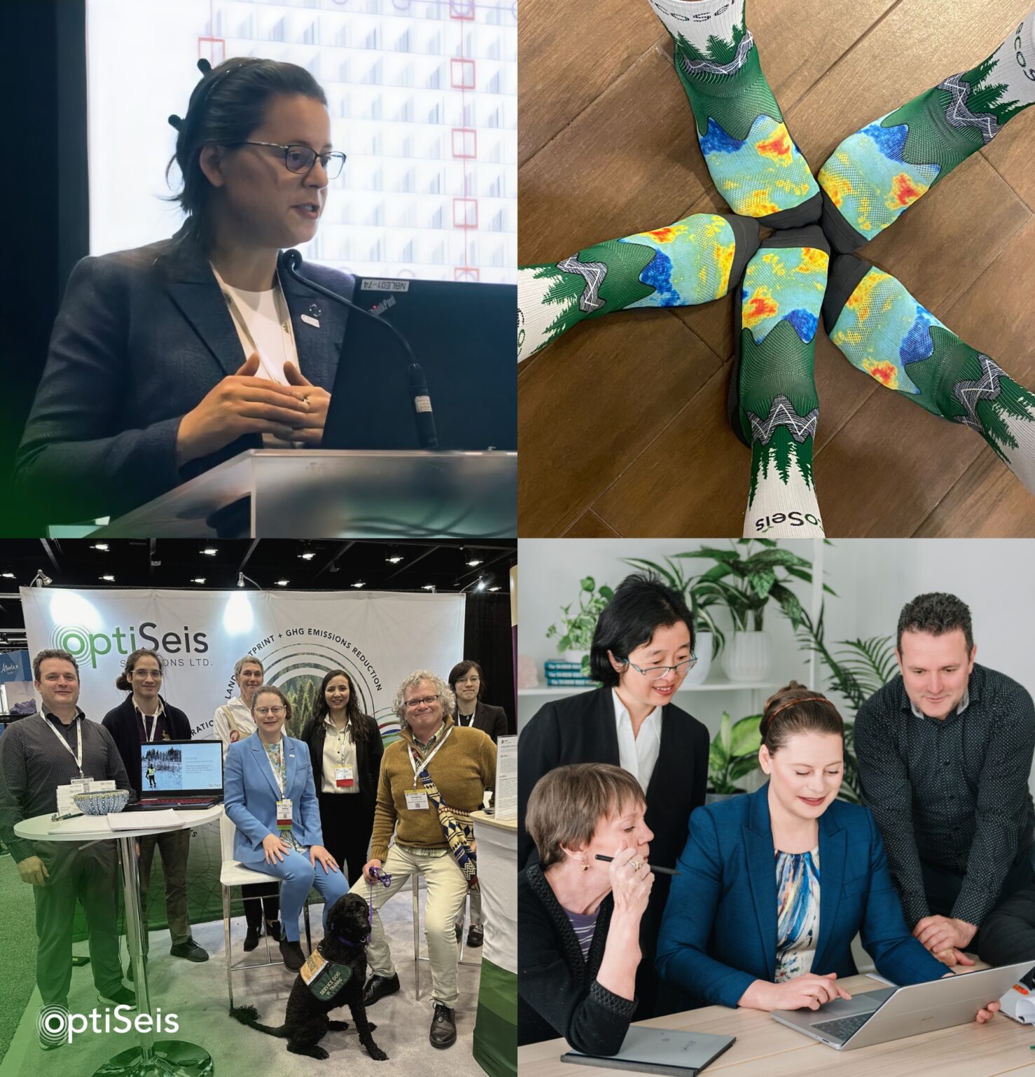 About – Optiseis Solutions Ltd.